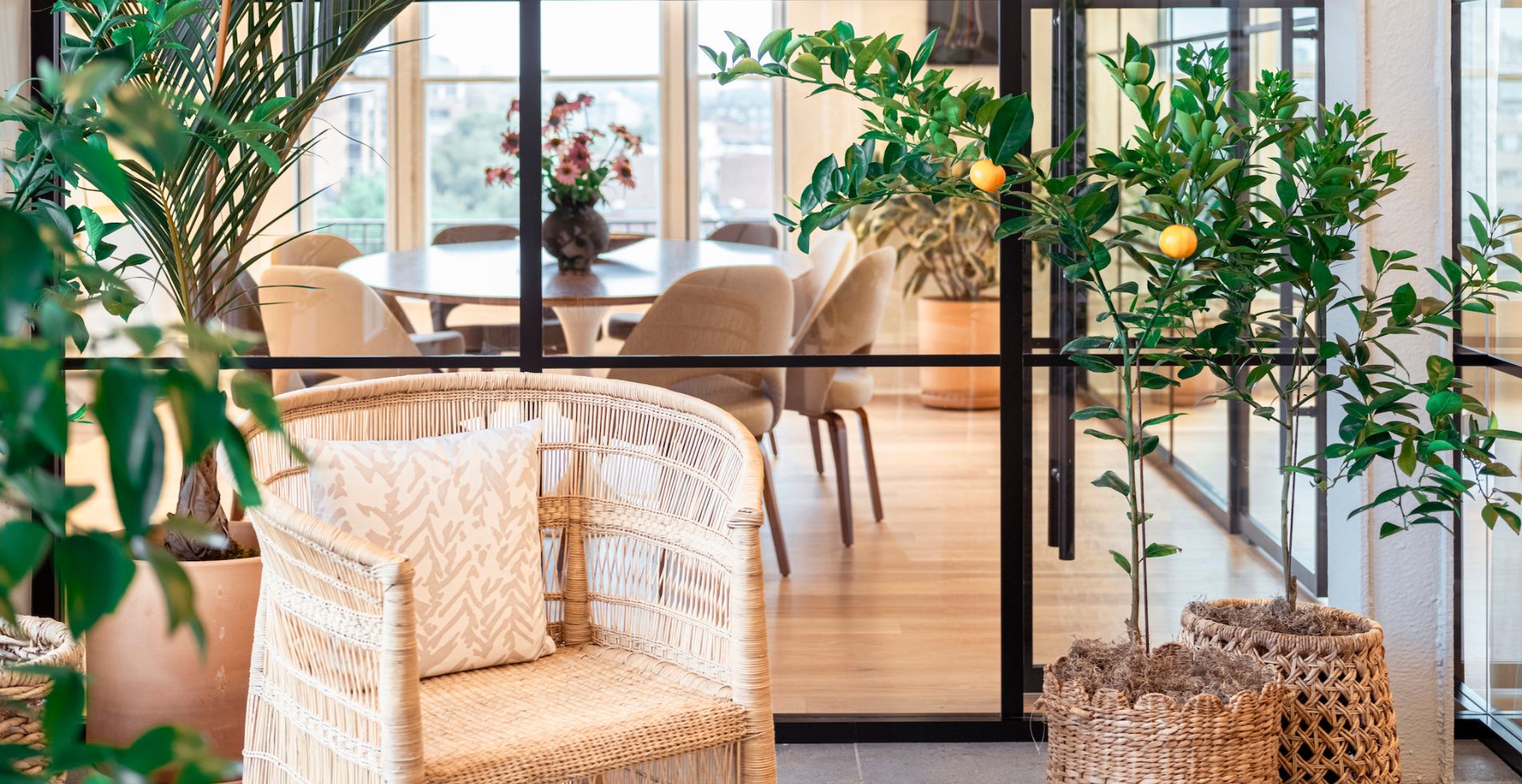 Vital Voices HQ Earns LEED Silver and WELL Health-Safety Rating - Vital ...